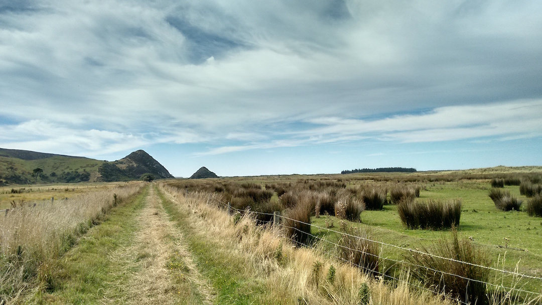 Victory Beach | Dunedin Attractions