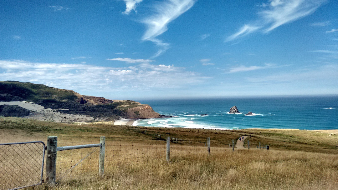 Sandfly Bay | Dunedin Attractions