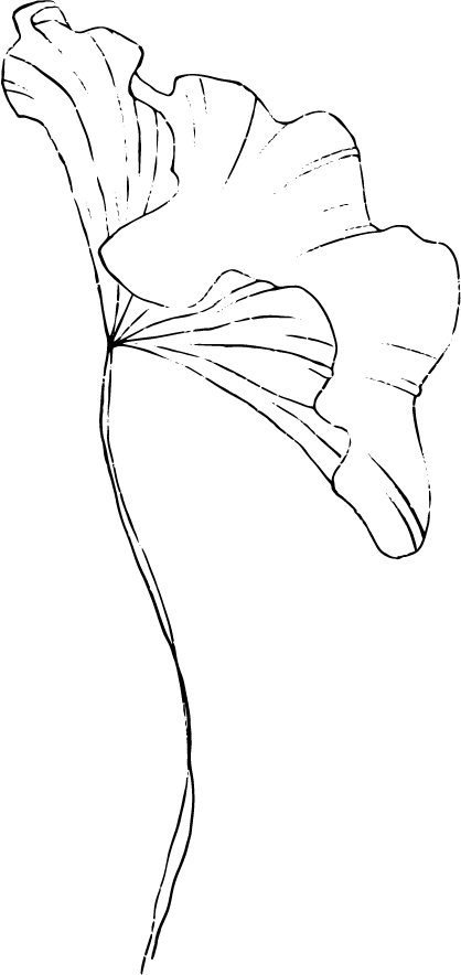 Nathalie Rohr Yoga Dance Home